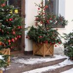 Vancouvers Festive Shoreline: A Christmas Walking Tour - Why You’ll Love This Tour
