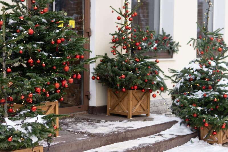 Vancouvers Festive Shoreline: A Christmas Walking Tour - Why You’ll Love This Tour
