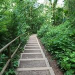 Vancouver's Natural Stair Master Workout, With Beach Walk - Who Is This Tour Best For?