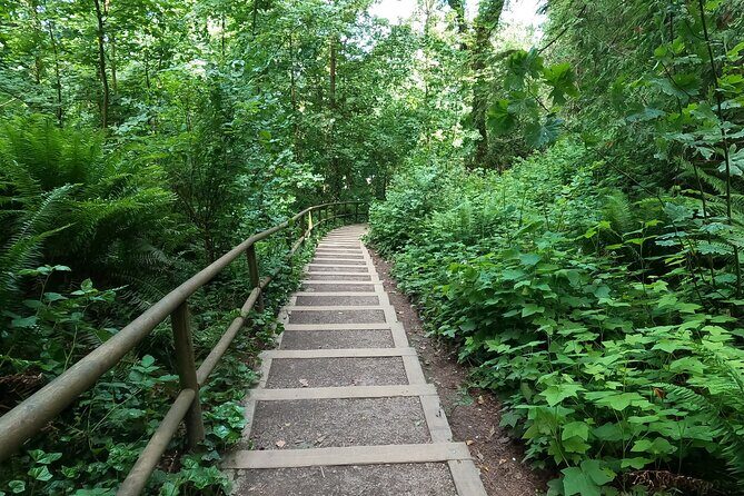 Vancouver's Natural Stair Master Workout, With Beach Walk - Who Is This Tour Best For?