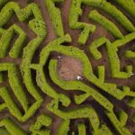 VanDusen Botanical Garden Admission Ticket - Who Will Love VanDusen Garden?