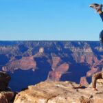 Vegas: Grand Canyon National Park South w/Lunch, Free WiFi - The Scenic Route and Crossing the Border