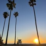 Venice Beach : French guided walking tour - The Experience in Detail