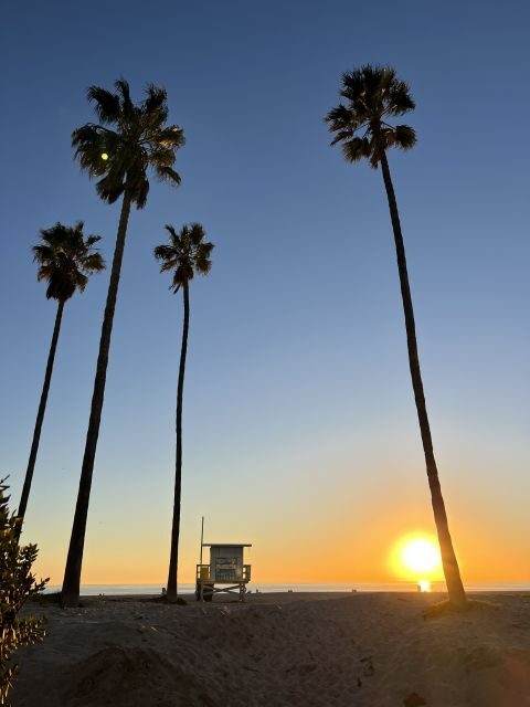 Venice Beach : French guided walking tour - The Experience in Detail