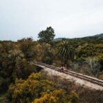 Ventura: Rail Bike Guided Tour with Farm Stand Stop - Is It Worth the Price?