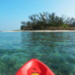 Veracruz: Isla de Sacrificios Kayaking Experience - The Value of the Experience