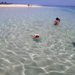 Veracruz: Snorkeling Adventure at Isla de En Medio - An Honest Look at the Experience