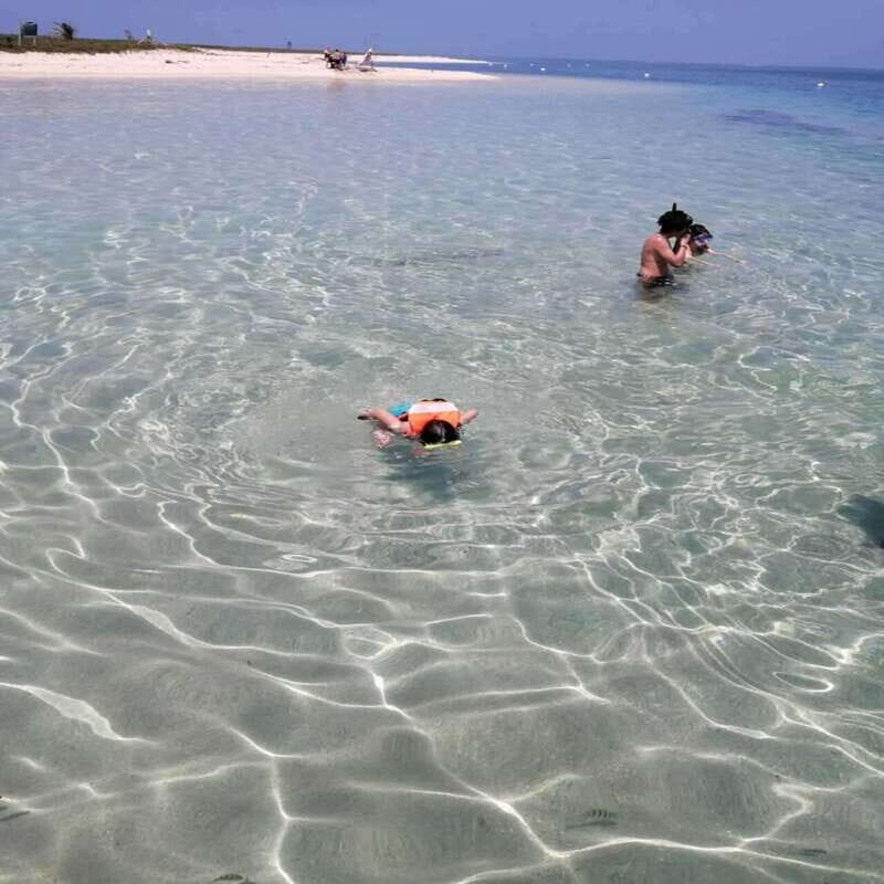 Veracruz: Snorkeling Adventure at Isla de En Medio - An Honest Look at the Experience