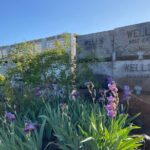 Viator Exclusive: Wyeast Adventure Cycling in Portland - The Sum Up