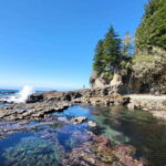 Victoria: 4-Day Tofino and Port Renfrew Tour with Flights - The Value of the Tour