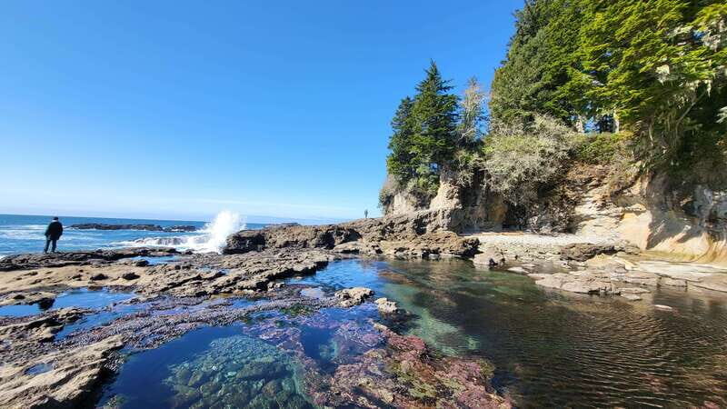 Victoria: 4-Day Tofino and Port Renfrew Tour with Flights - The Value of the Tour