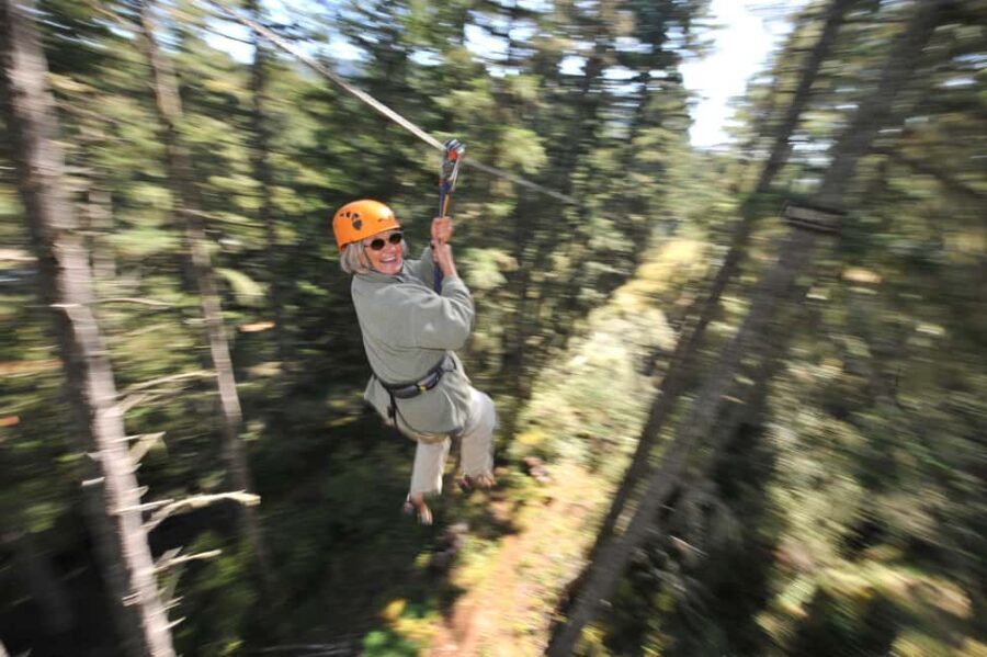 Victoria: 8 Zipline Guided Tour + Suspension Bridge - Who Should Consider This Tour?