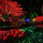 Victoria and Butchart Gardens Christmas Tour - What Travelers Are Saying