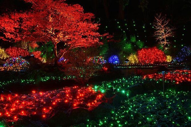 Victoria and Butchart Gardens Christmas Tour - What Travelers Are Saying