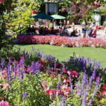 Victoria & Butchard Gardens Private Tour from Vancouver - How Does the Price Reflect the Experience?