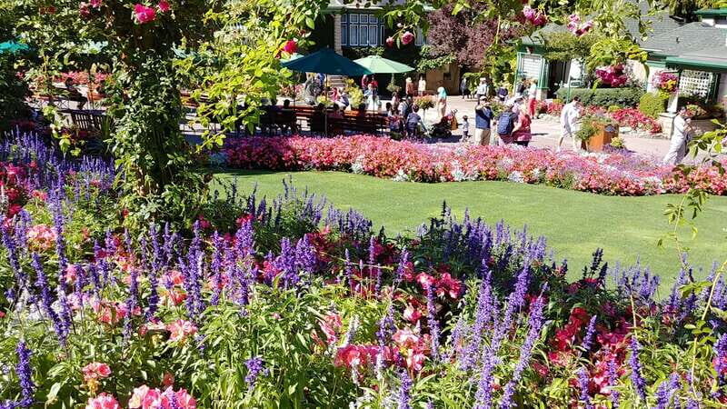 Victoria & Butchard Gardens Private Tour from Vancouver - How Does the Price Reflect the Experience?
