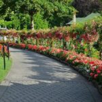 Victoria & Butchart Gardens Tour with Ferry from Vancouver - The Ferry Ride: Wildlife and Coastal Views