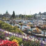 Victoria City Highlights Bike Tour - Castle, Hoods & Legends - The Experience in Real Terms
