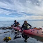 Victoria: Guided Kayak Tour Adventure - What to Expect on the Tour