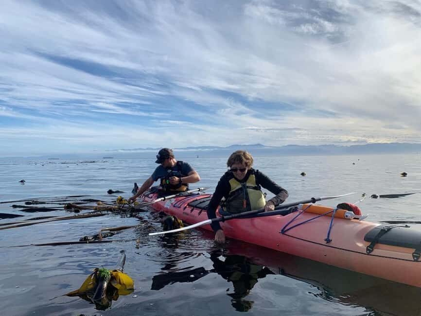 Victoria: Guided Kayak Tour Adventure - What to Expect on the Tour