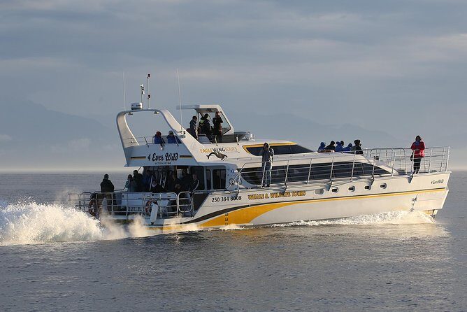 Victoria Marine Wildlife Tour - Final Thoughts: Is It Worth It?