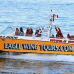 Victoria: Morning Whale-Watching Tour in Scarab Boat - What to Expect on the Water