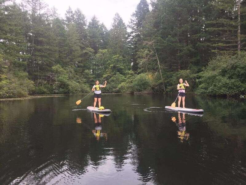 Victoria: Paddle Board Rental with Full Equipment - Introduction: An Accessible Water Adventure in Victoria