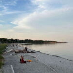 Victoria: Paddle Board Tour at Willows Beach - Discovering Victoria’s Coastline on Paddleboard