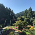 Victoria Private Tour Visiting City and Butchart Gardens - What’s Included and What’s Not