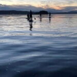 Victoria: Secret Beaches and Islands SUP Tour - What You Can Expect: The Itinerary