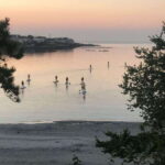 Victoria: Sunrise or Sunset SUP Tour - What to Expect During Your Tour