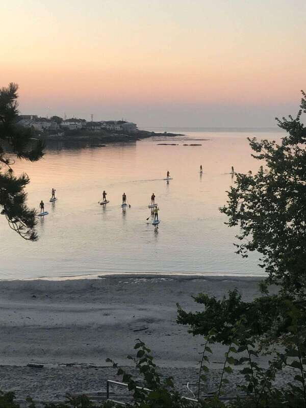 Victoria: Sunrise or Sunset SUP Tour - What to Expect During Your Tour
