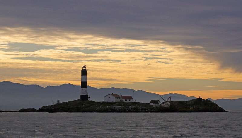Victoria: Sunset Whale Watching Tour on an Open Scarab Boat - The Sum Up