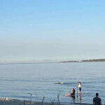 Victoria: Upper Gorge Waterway Paddle Boarding Tour - Summary: Who Will Love This Tour?