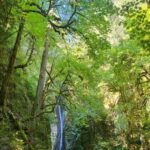 Victoria Waterfall, Skywalk, Beach Picnic, Castle and Whales - What’s Included and What to Keep in Mind