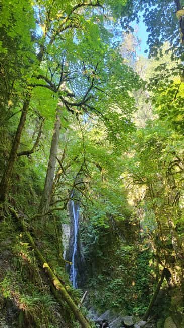 Victoria Waterfall, Skywalk, Beach Picnic, Castle and Whales - What’s Included and What to Keep in Mind