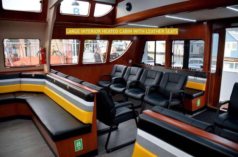 Victoria: Whale and Wildlife Semi-Covered Boating Tour - The Value of a 4-Hour Wildlife Tour