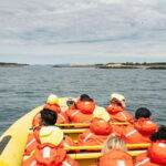 Victoria: Whale Watching Adventure in a Zodiac Boat - What Makes This Tour Special