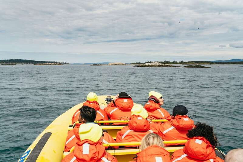 Victoria: Whale Watching Adventure in a Zodiac Boat - What Makes This Tour Special