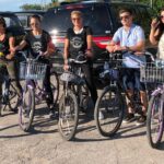 Vine and Dine Bicycle Wine Tour with Lunch - Who should book this tour?