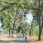 Vine Trail Discovery E-Bike Tour - Who Would Love This Tour?