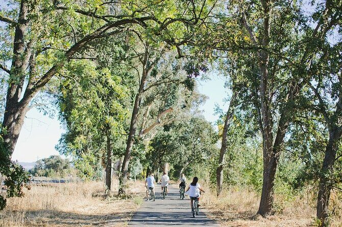 Vine Trail Discovery E-Bike Tour - Who Would Love This Tour?