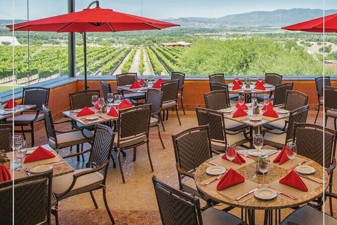 Vineyard, tour, tasting and fun in San Miguel de Allende - Final Thoughts on the Experience