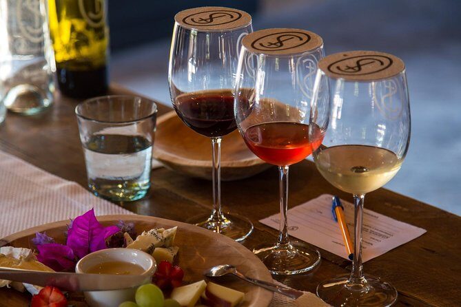 Vineyards, Wine Tasting and Pairing in San Miguel - A Closer Look at the Itinerary