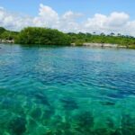 VIP Cenotes Private Tour - What Makes This Tour Stand Out?
