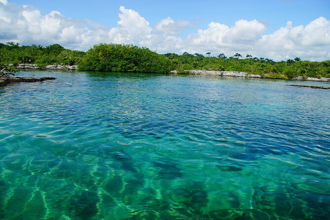 VIP Cenotes Private Tour - What Makes This Tour Stand Out?