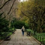 VIP Private Sightseeing Tour of Manhattan - Little Italy and Chinatown: A Feast for the Senses