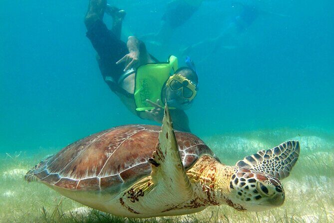 VIP Tulum & Turtles Private Tour - What’s Included and What’s Not