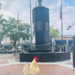 VIP Walking Tour of Little Havana - A Closer Look at the Experience