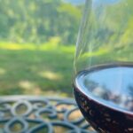 Virginia Wineries Tour - Why This Tour Offers Value